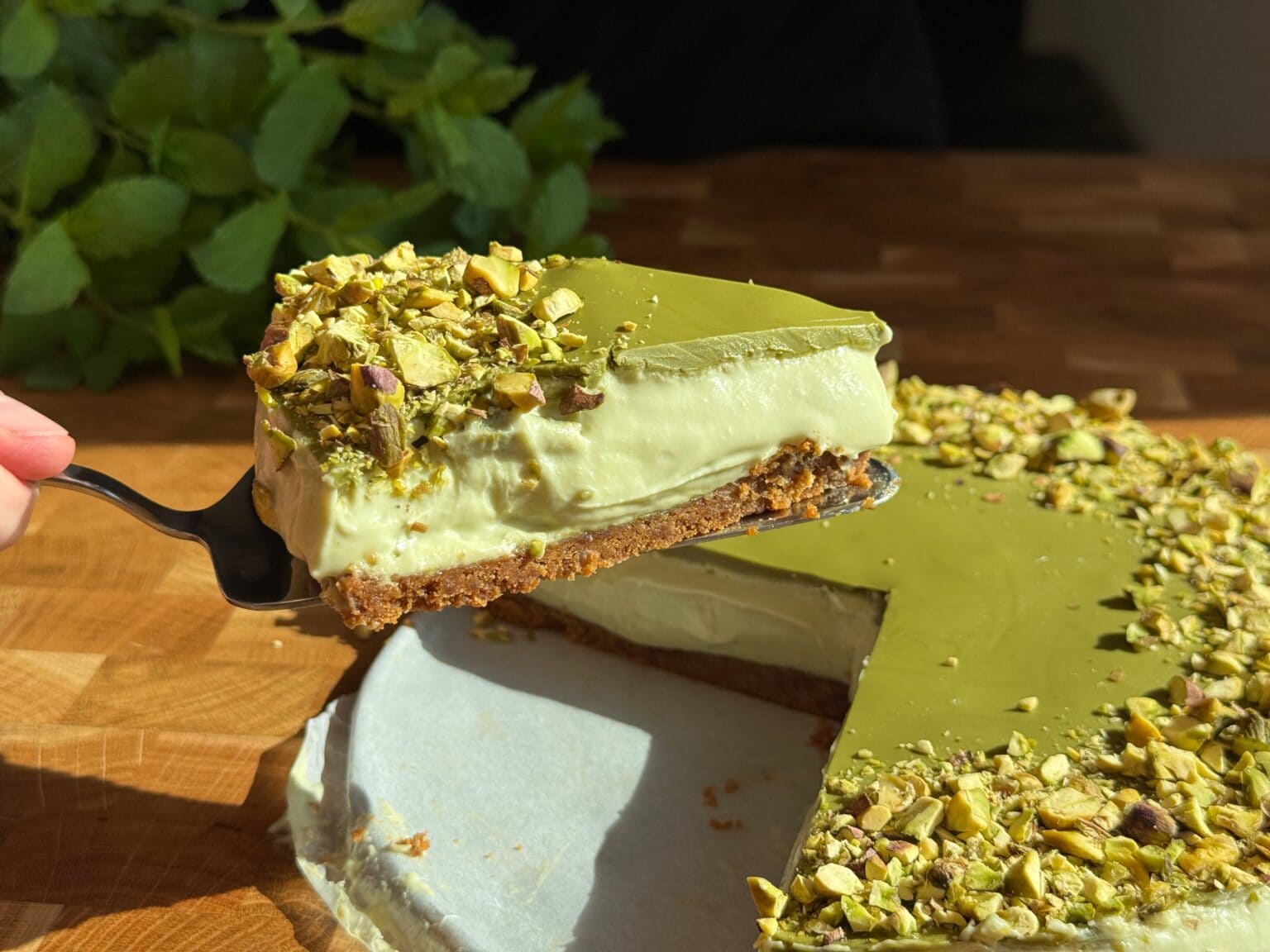 Pistache Cheesecake (met video) - Een no-bake recept van SterkInDeKeuken